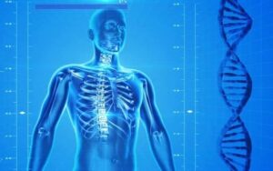 10 Unbelievable Facts About Atoms That Make Science Fun - JellyKnow